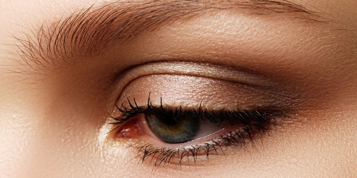 Eye See What You Did There – BY BRIAN